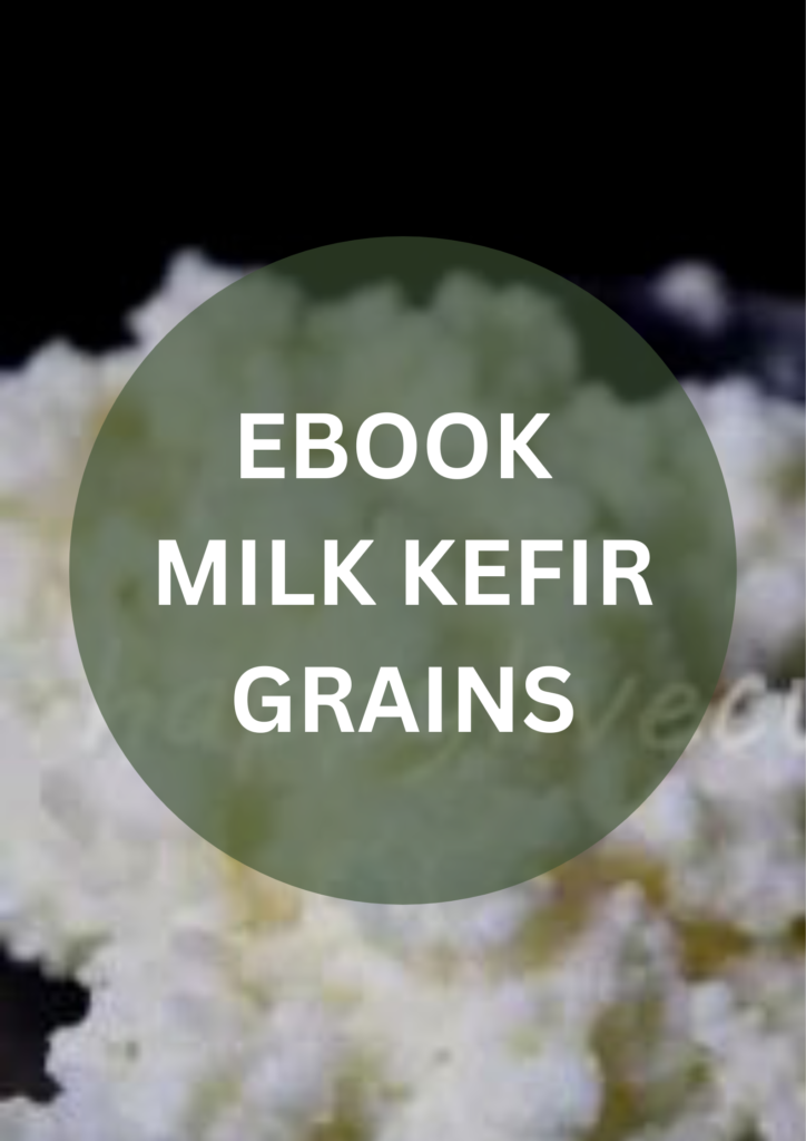 Kefir Book - Learn to Make Milk Kefir at Home